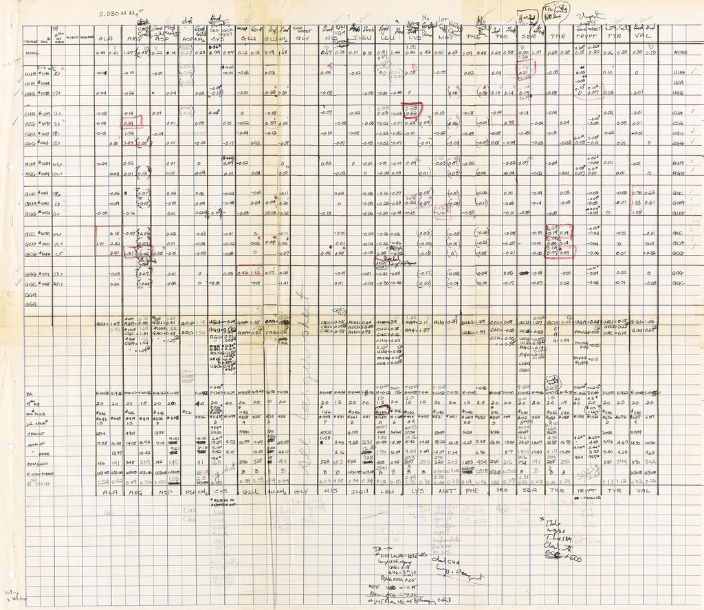 Programs - Flickr Foundation