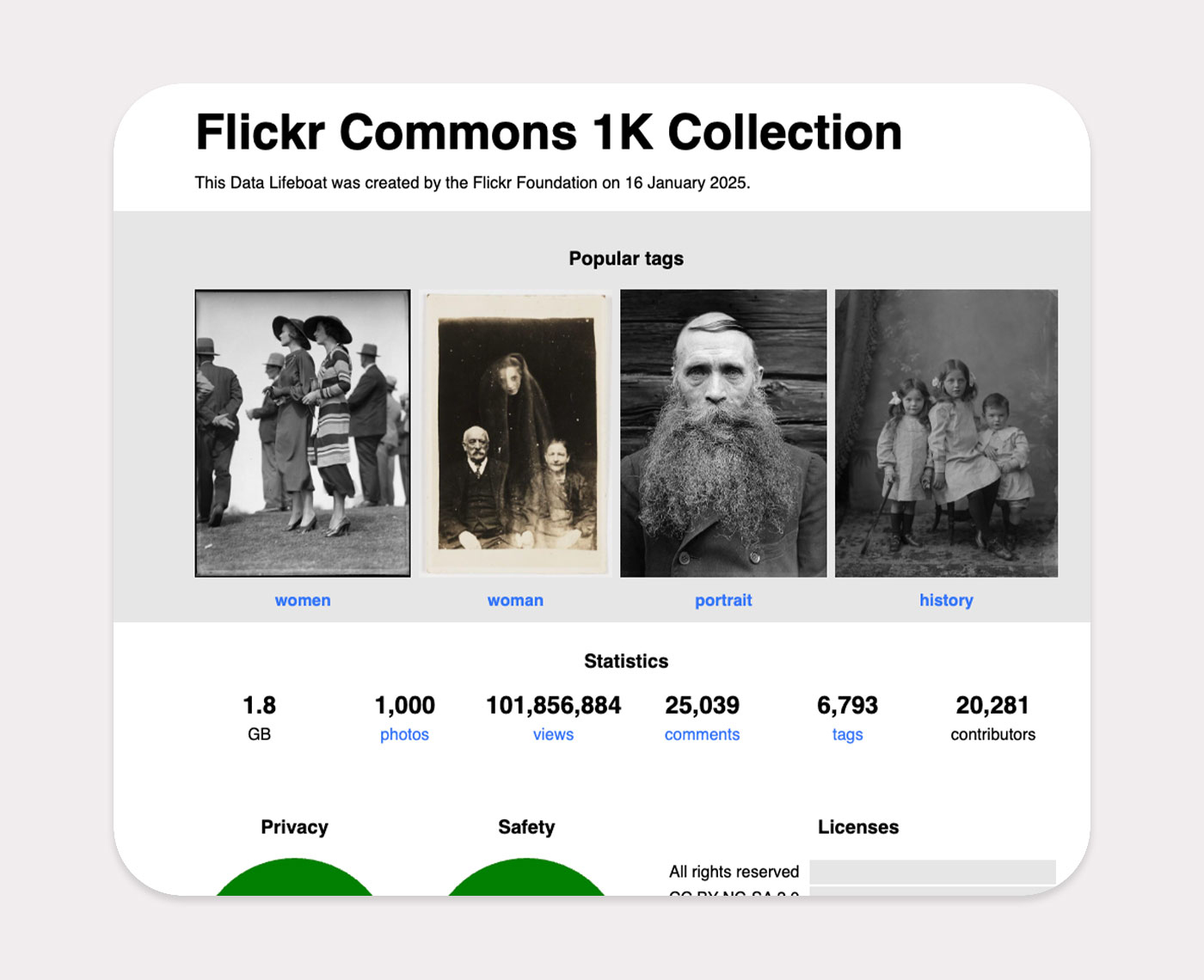 Data Lifeboat - Flickr Foundation